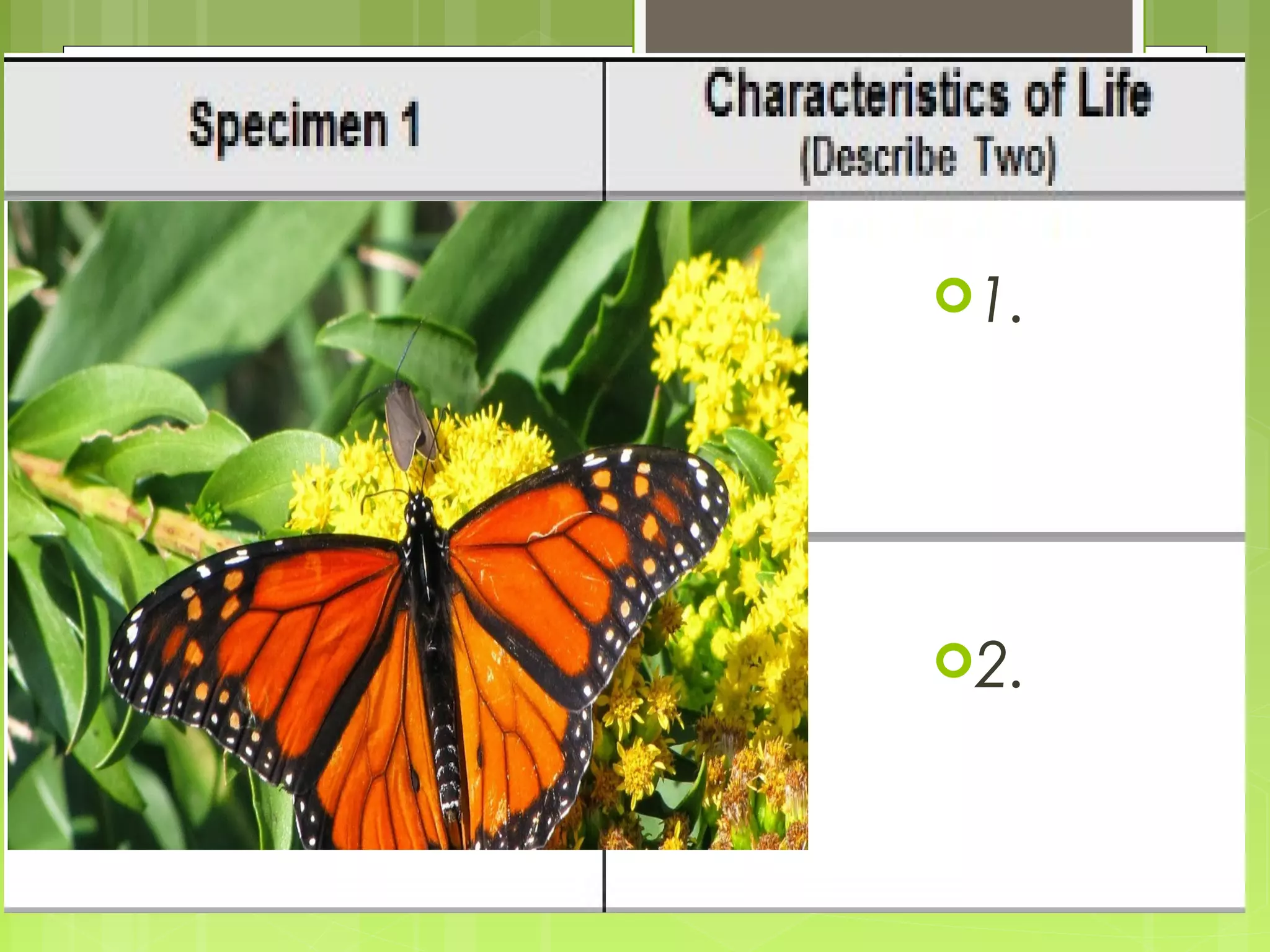 Earth and Life Science "Introduction to life" | PPT