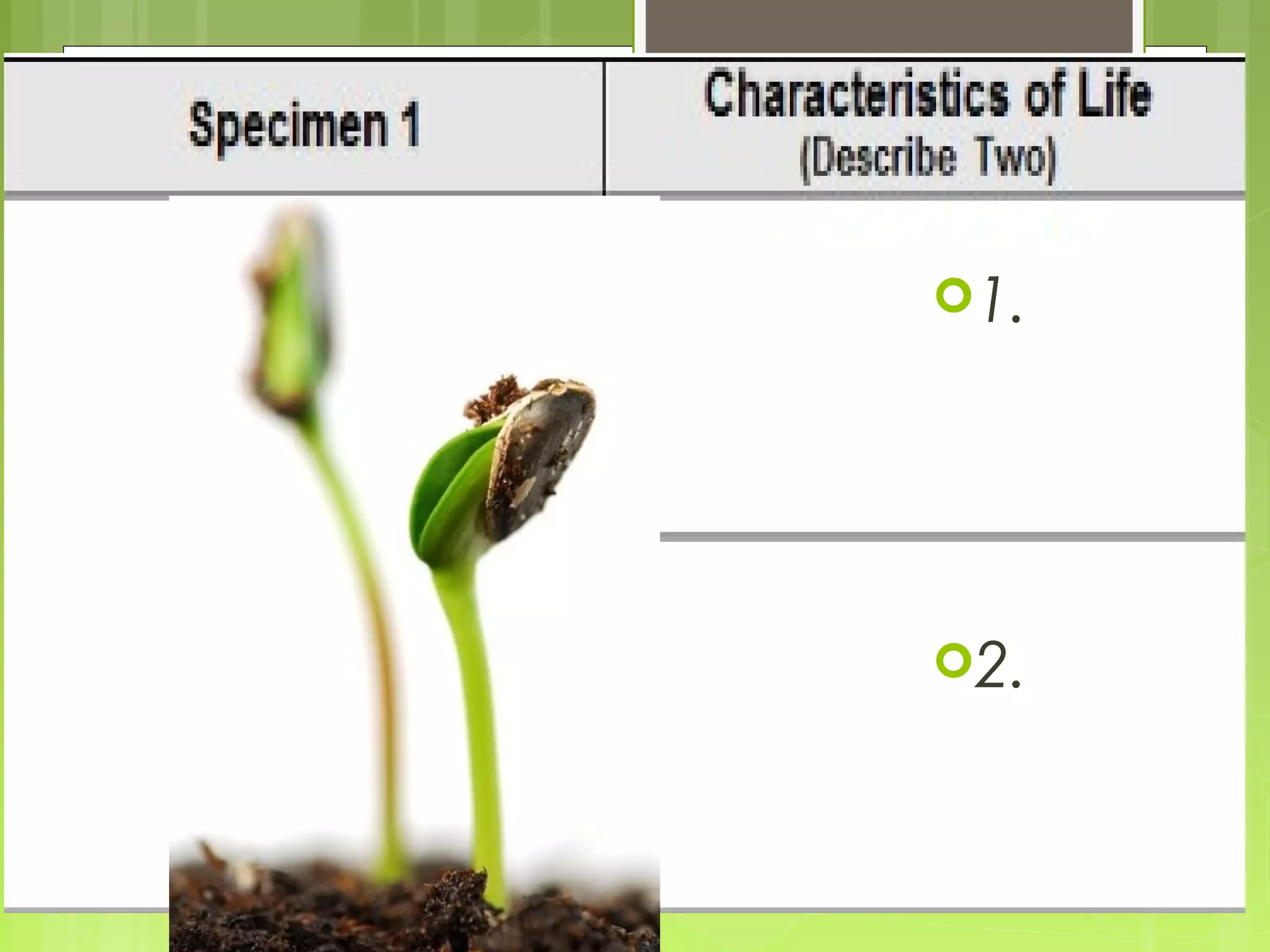 Earth and Life Science "Introduction to life" | PPT