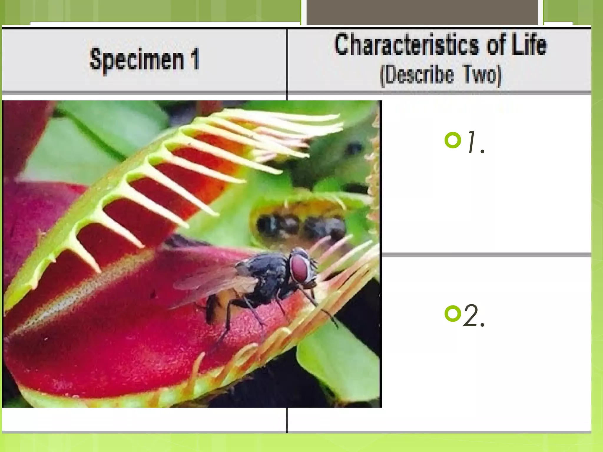 Earth and Life Science "Introduction to life" | PPT