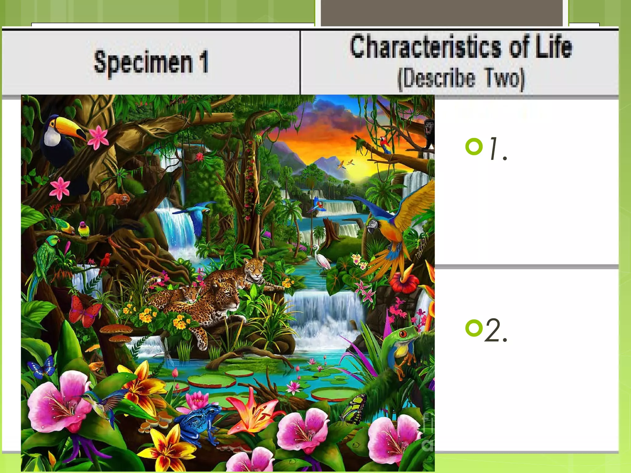 Earth and Life Science "Introduction to life" | PPT