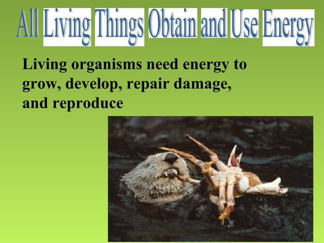 Earth and Life Science "Introduction to life" | PPT | Biological ...