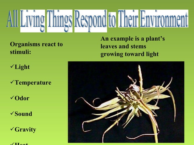 Earth and Life Science "Introduction to life" | PPT | Biological ...