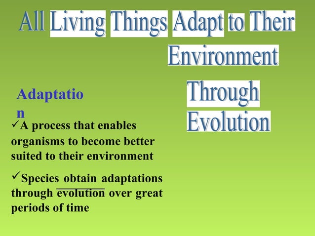 Earth and Life Science "Introduction to life" | PPT