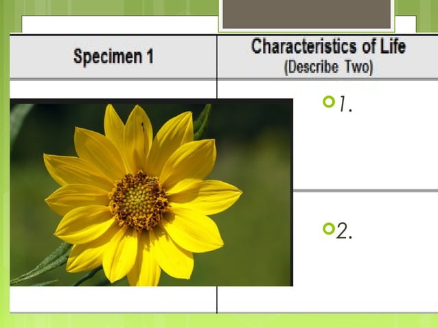 Earth and Life Science "Introduction to life" | PPT | Biological ...