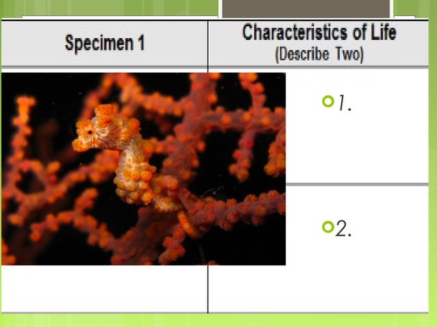 Earth and Life Science "Introduction to life" | PPT | Biological ...