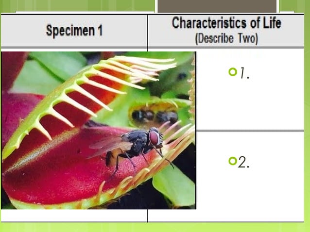 Earth and Life Science "Introduction to life" | PPT | Biological ...