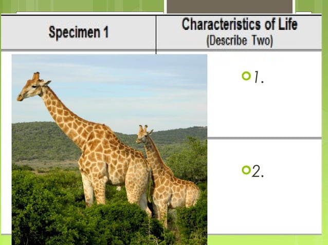 Earth and Life Science "Introduction to life" | PPT | Biological ...