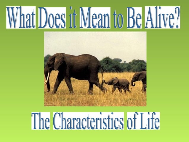 Earth and Life Science "Introduction to life" | PPT