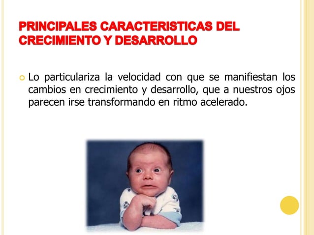 El lactante | PPTX