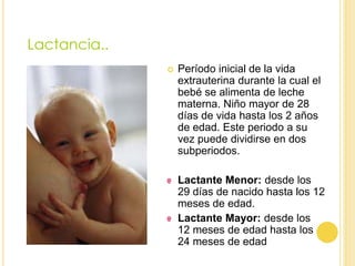 El lactante | PPTX