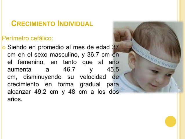 El lactante | PPTX