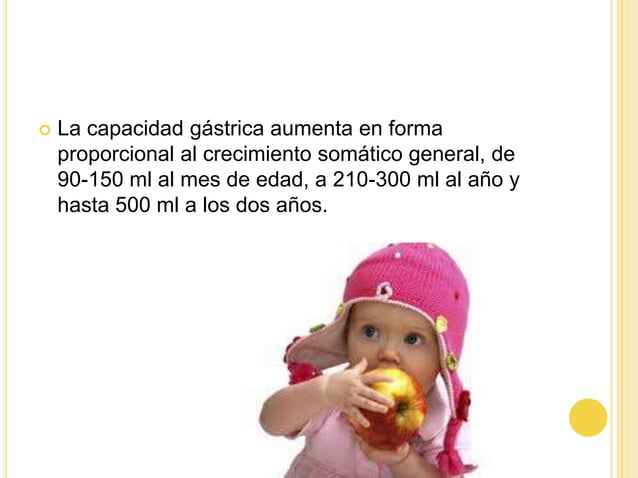 El lactante | PPTX