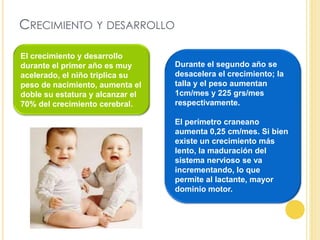 El lactante | PPTX