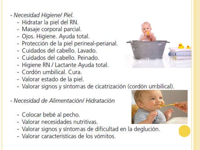 El lactante | PPTX