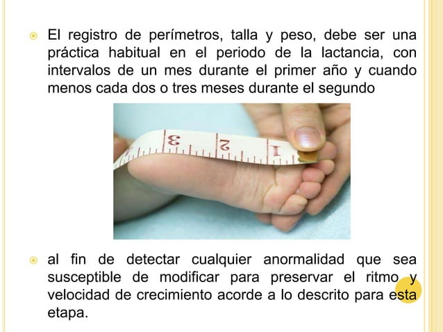 El lactante | PPTX