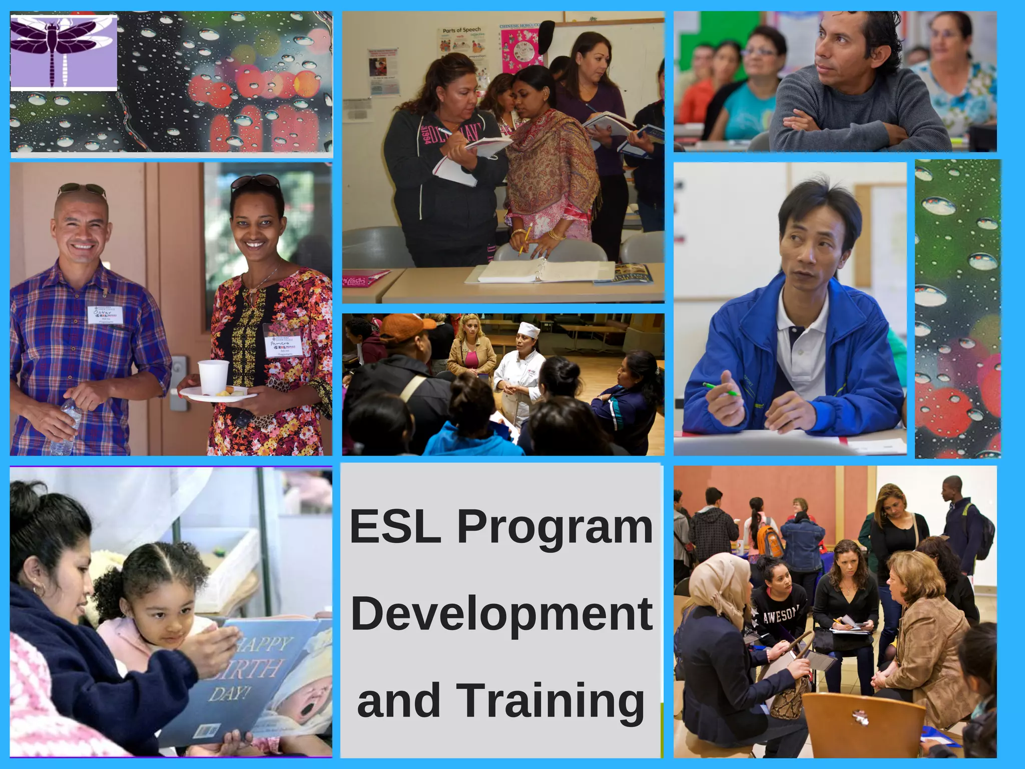 Ell Adult Ed Works brochure | PDF