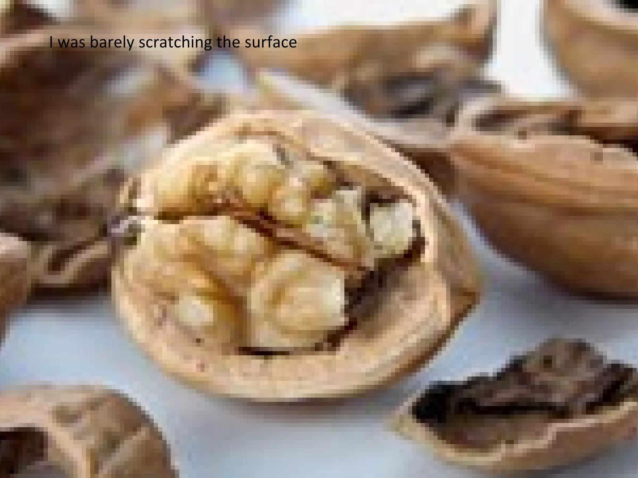 Elle In A Nutshell | PPT