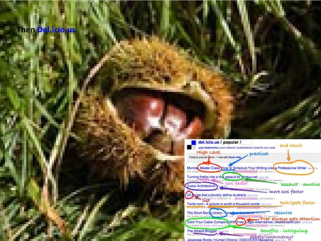 Elle In A Nutshell | PPT