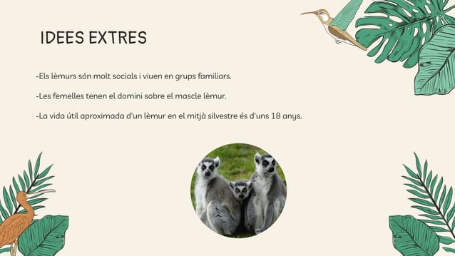 EL LEMUR.pdf