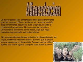 El Leon | PPT