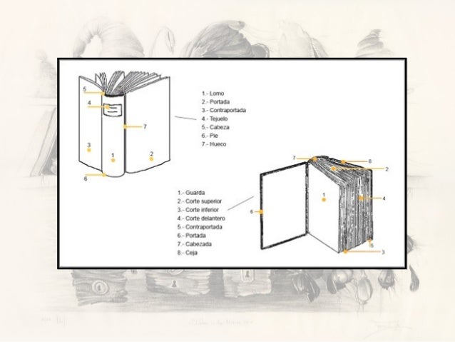 Un libro con sus partes - Imagui