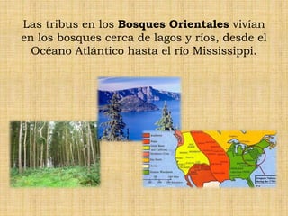 Indios Del Bosque Oriental