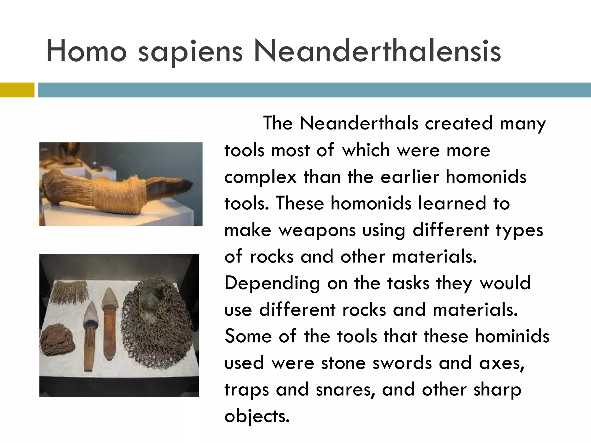 Ellie early humans tools | PPT