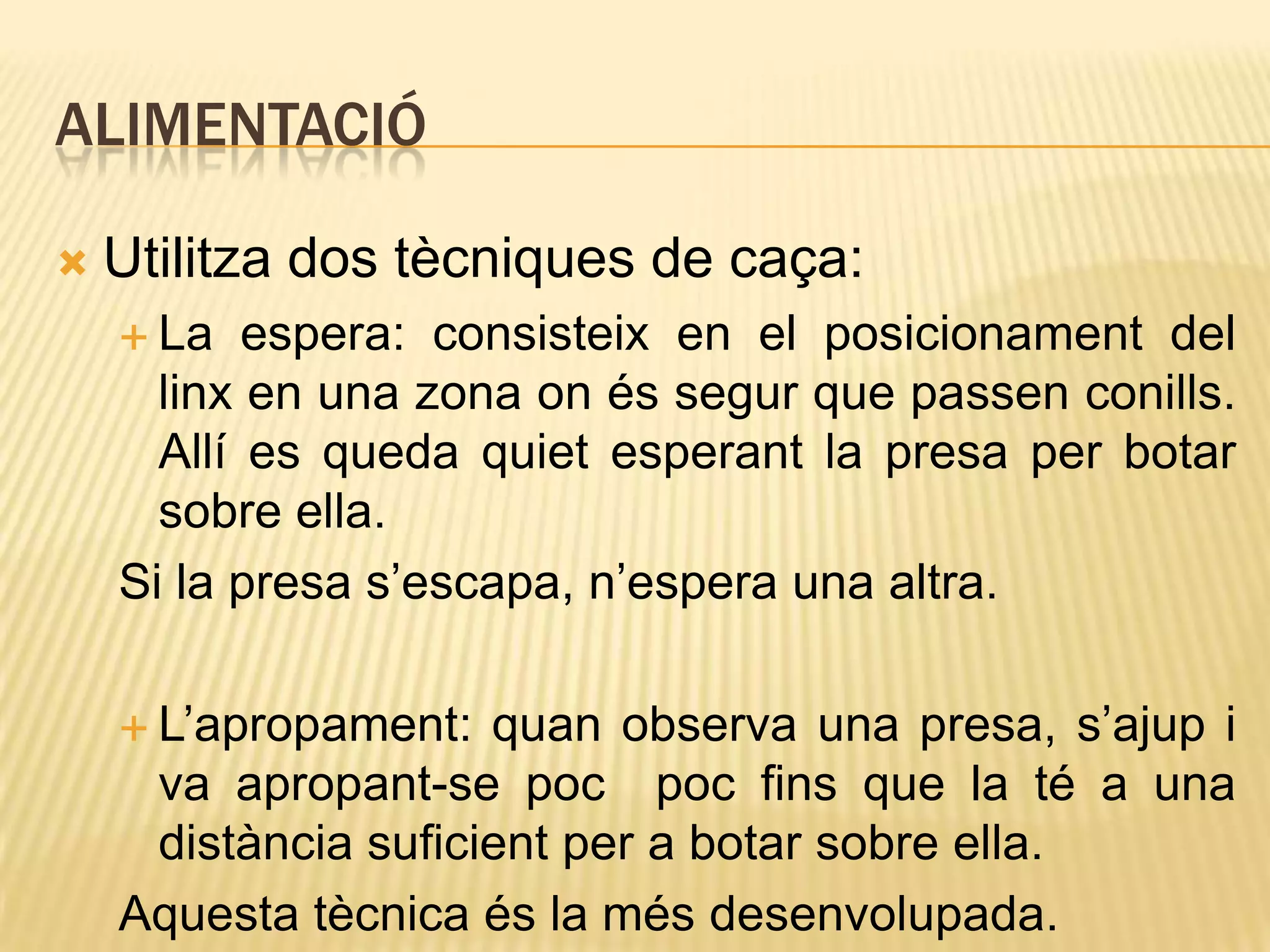 El linx ibèric presentació als companys | PPSX