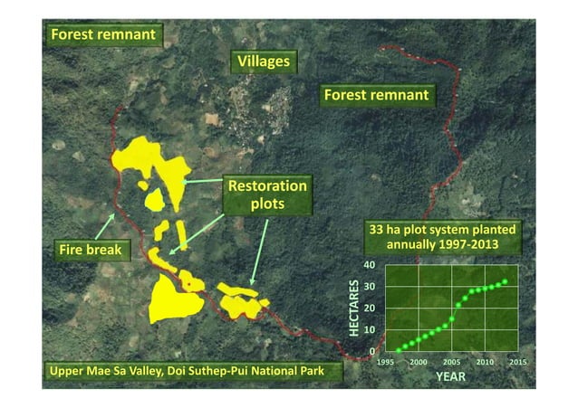 Conservation outcomes from community-based forest restoration | PPT