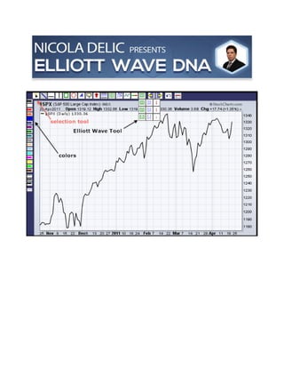 Elliott wave dna by nicola delic | PDF