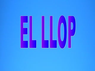 El llop | PPT