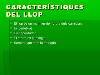 El llop | PPT