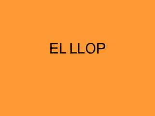El llop p4 b | PPT