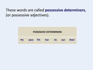 7-2 Personal Pronouns and Possessive Determiners | PPTX