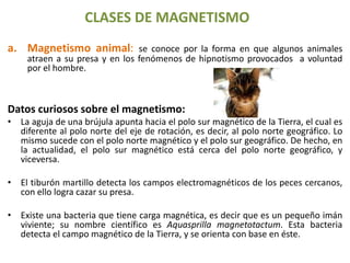 El magnetismo 2 | PPTX