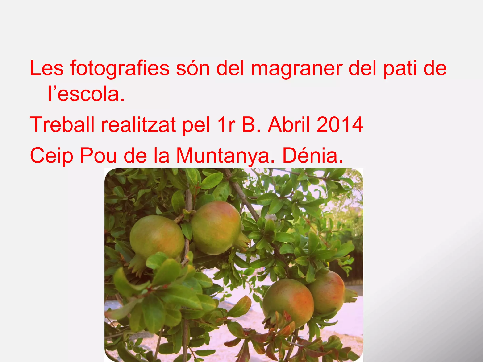 EL MAGRANER | PDF