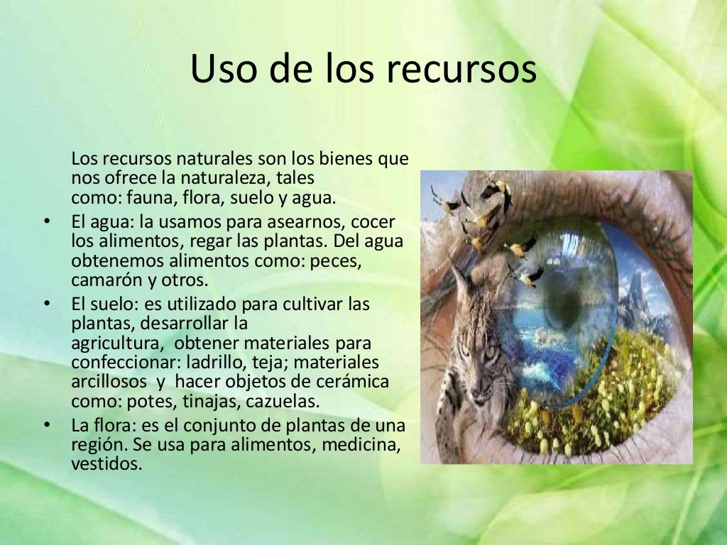 El mal uso de los recurso naturales