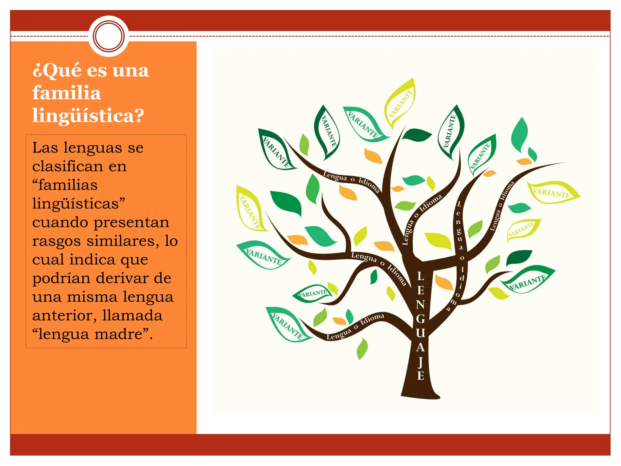 El mapa lingüístico de Argentina: dialectos del español y lenguas ...