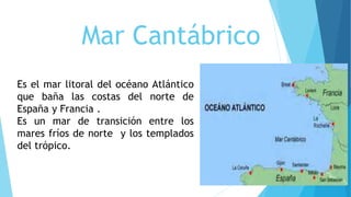 El mar | PPTX