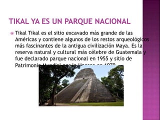El maravilloso mundo de tikal | PPT