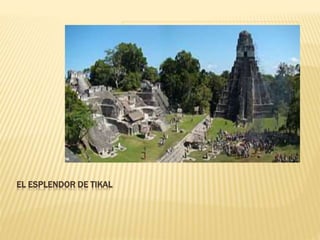 El maravilloso mundo de tikal | PPTX
