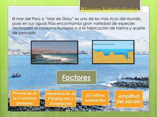 El mar peruano alejandro | PPTX