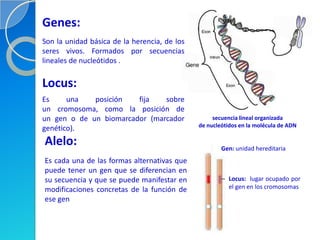 El material genético | PPTX