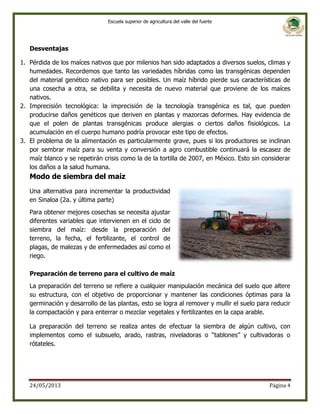 EL MAIZ | DOCX