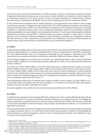 El Maíz Morado Peruano, super alimento.pdf