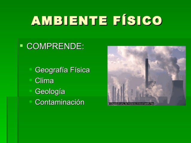 El medio ambiente | PPT