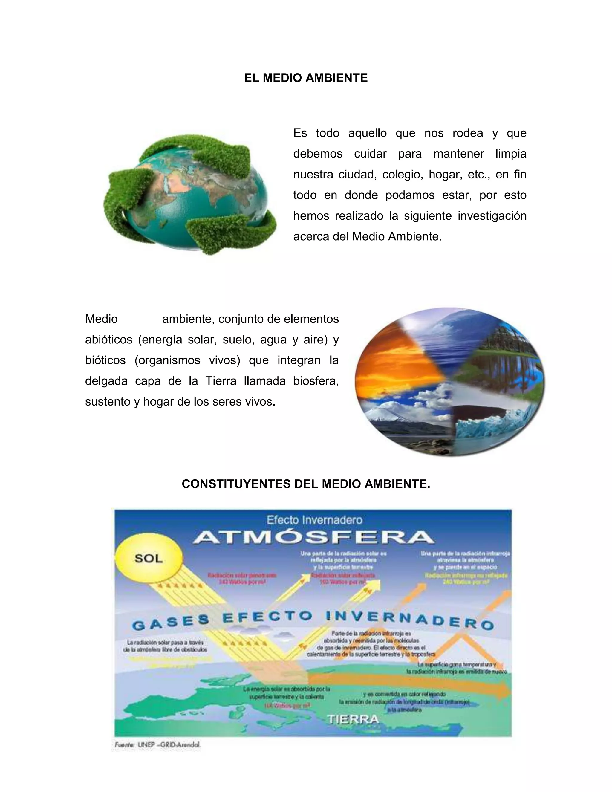 El medio ambiente | PDF