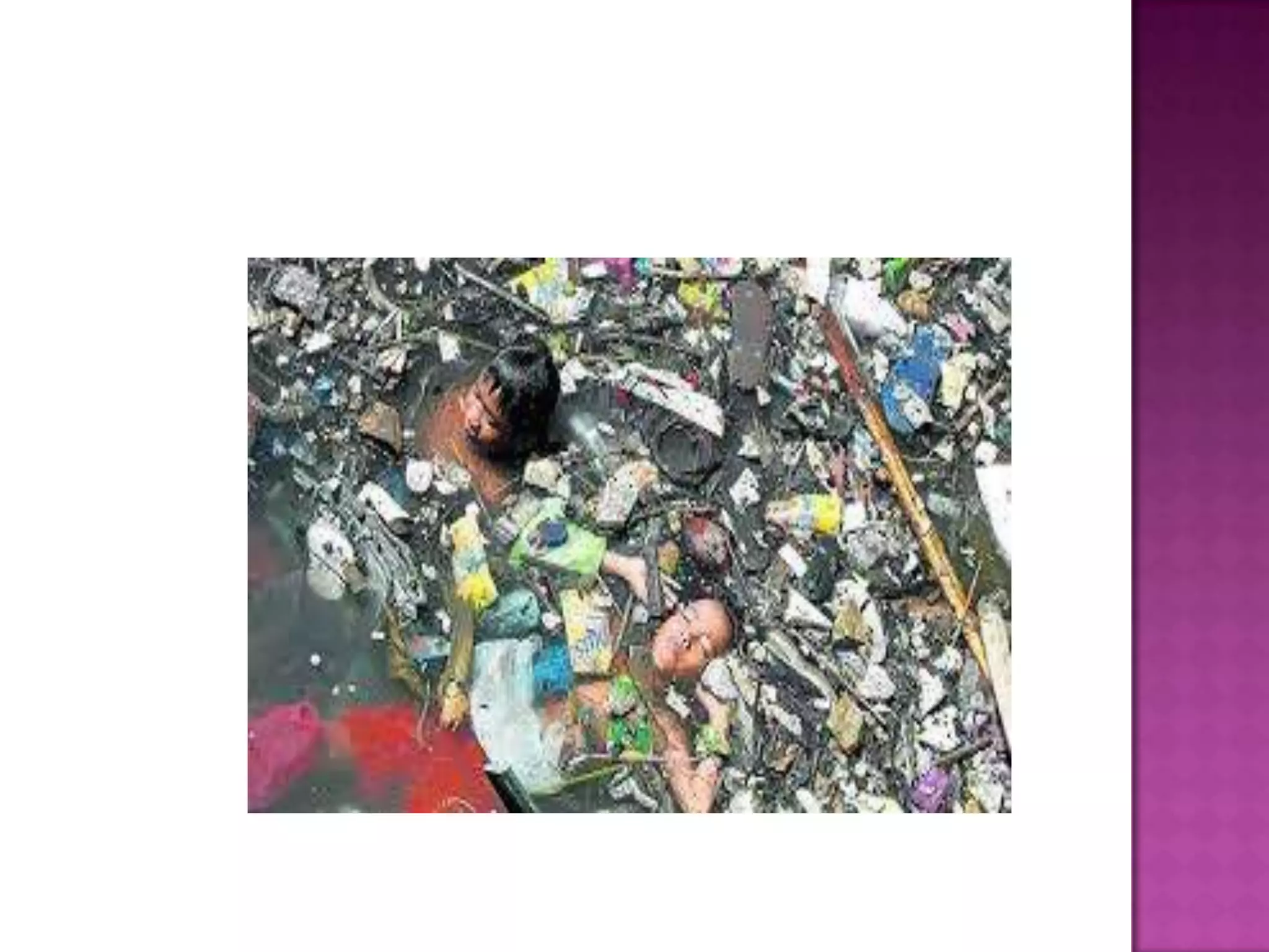 El medio ambiente | PPT