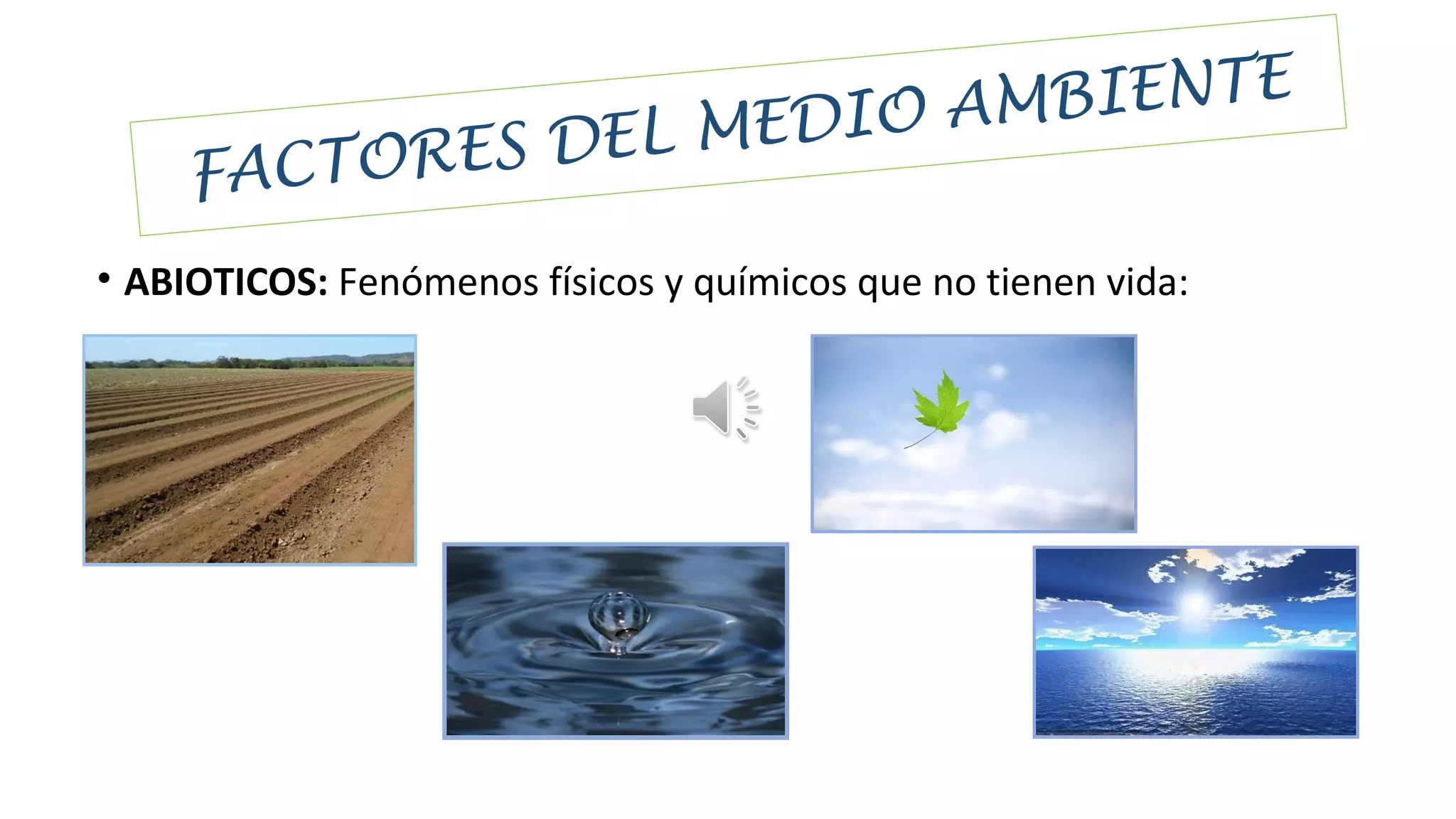 El medio ambiente-Taller de power point | PPT