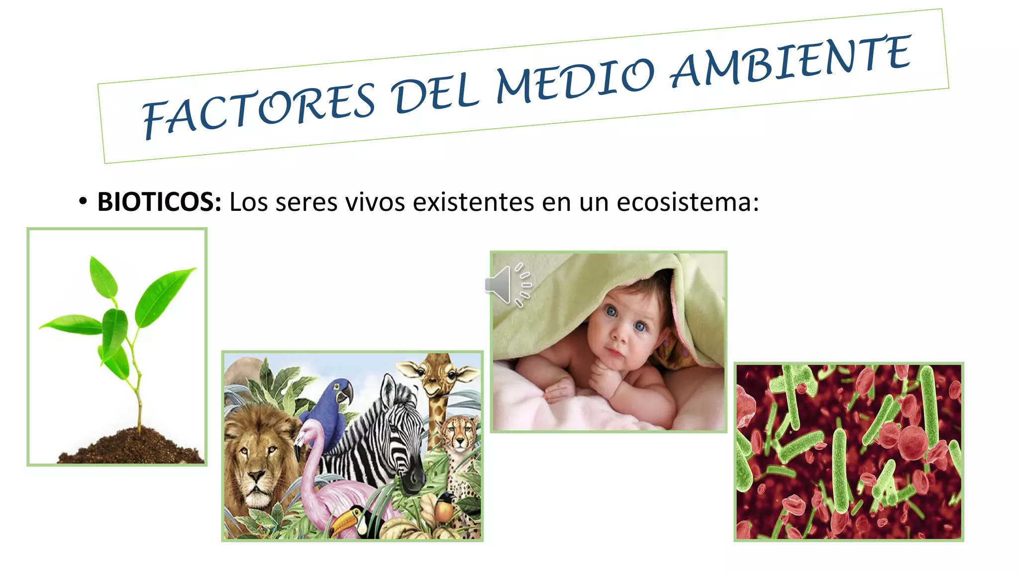 El medio ambiente-Taller de power point | PPT